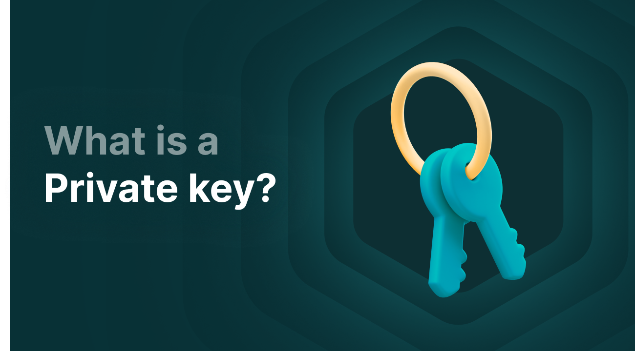 What is a private key? | Crypto Academy